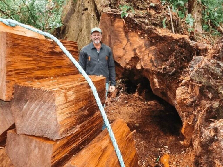 Alles über Holzschindeln – Brandschutz, Verlegung, Normen